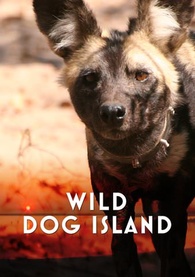 Wild Dog Island Digital
