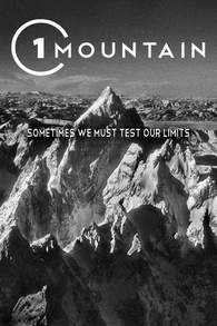 1 Mountain Digital