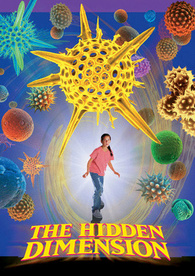 The Hidden Dimension Digital