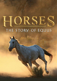 Horses: The Story of Equus Digital