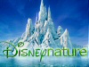 First Look: Disneynature's Bears