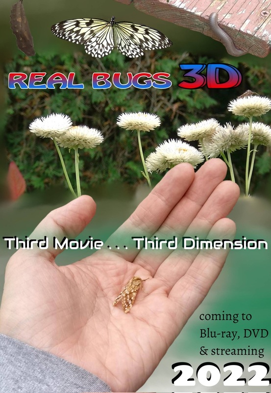 Real Bugs 3D (2022)