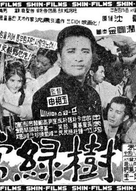 Evergreen Tree (1961)