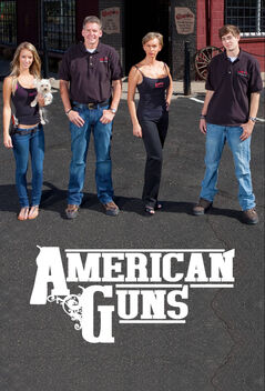 American Guns (2011 - 2012)