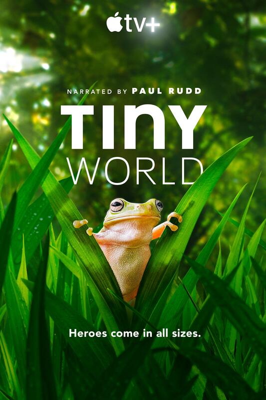 Tiny World (2020 - )