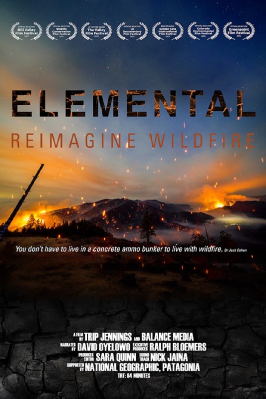 Elemental (2022)