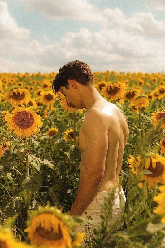 Sunflower (2023)