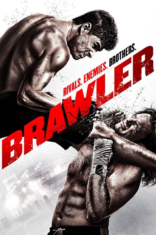 Brawler (2011)