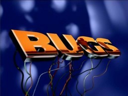 Bugs (1995 - 1998)