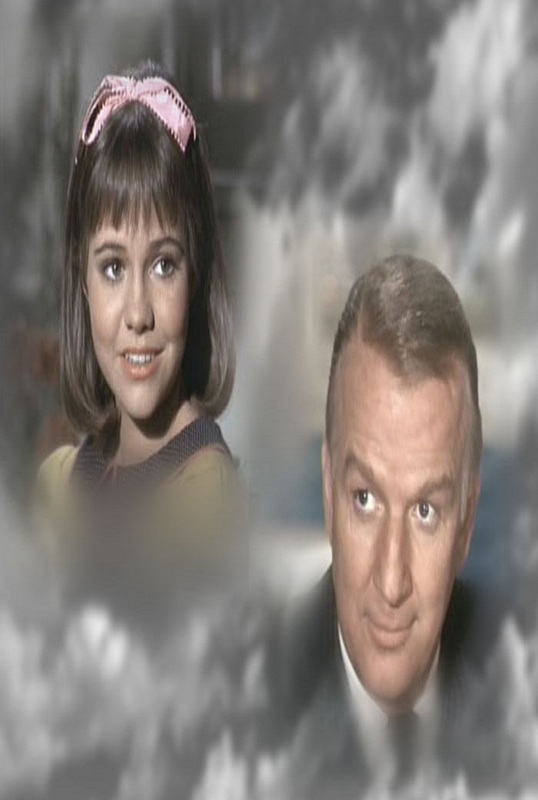 Gidget (1965 - 1966)