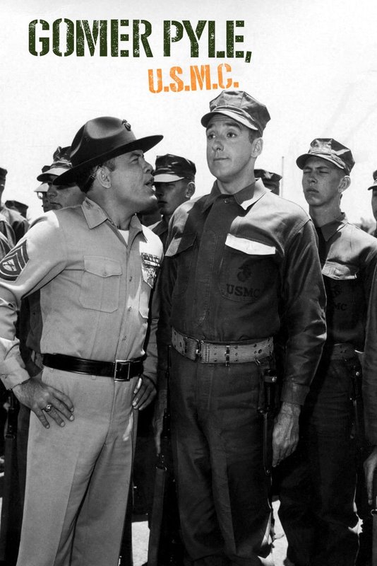 Gomer Pyle, U.S.M.C. (1964 - 1969)