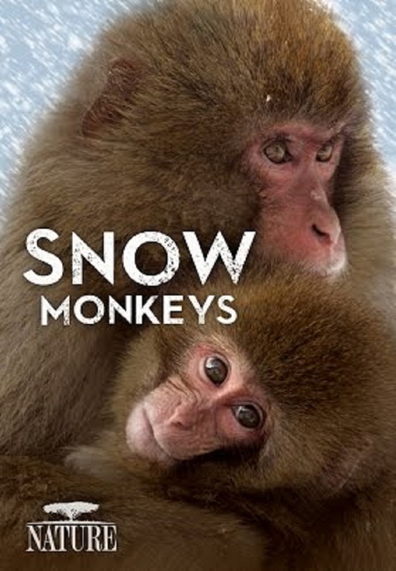 Nature: Snow Monkeys (2014)