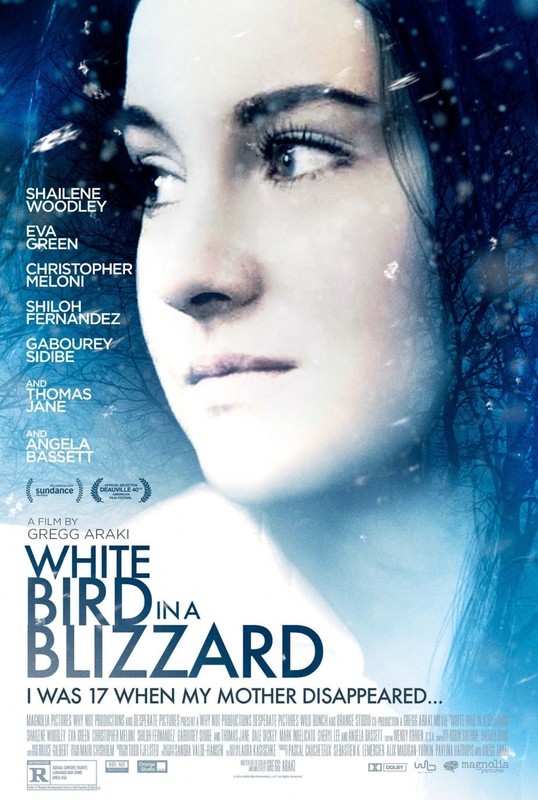 The Blizzard Movie 2003