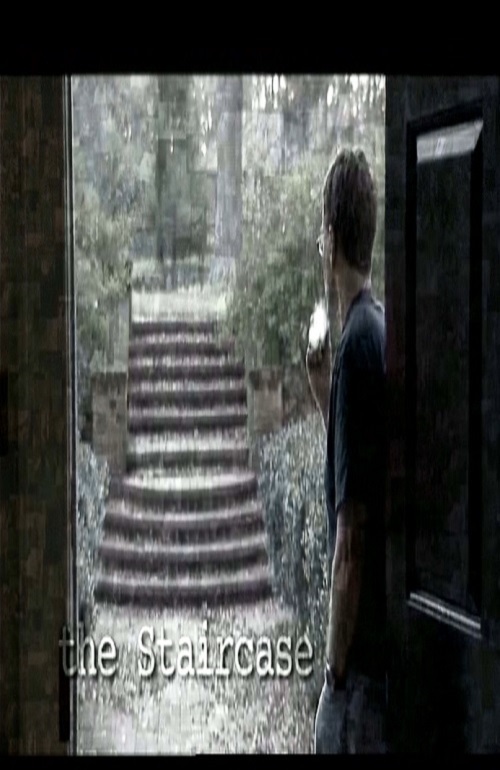 The Staircase (2004 - 2018)