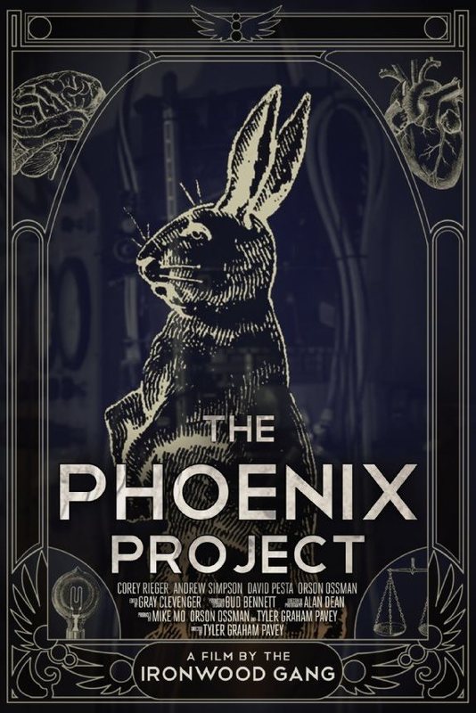 The Phoenix Project (2014)