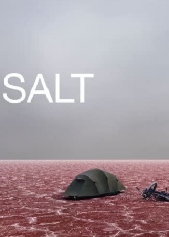 Salt (2009)