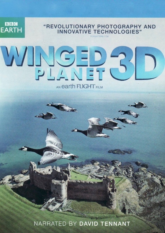 Winged Planet (2012)