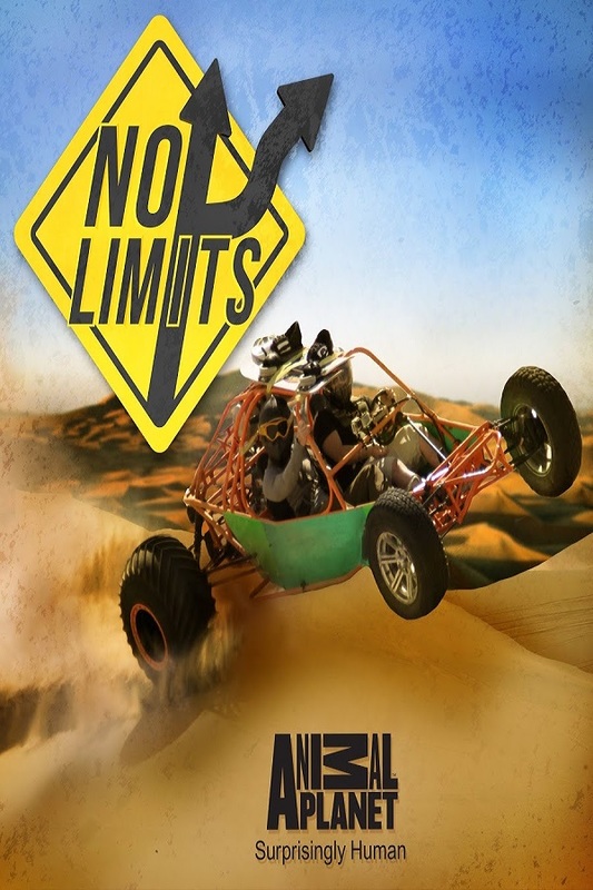 No Limits (2014)