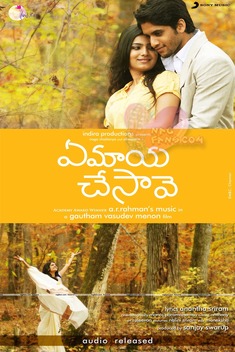 Ye Maya Chesave (2010)