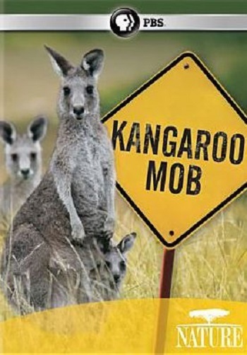 Nature: Kangaroo Mob (2011)