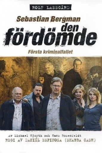 Sebastian Bergman (2010 - 2013)