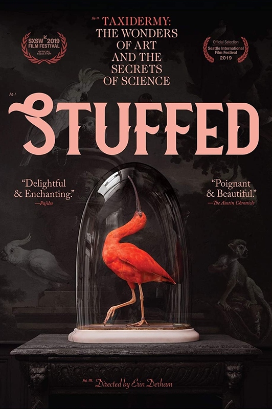 Stuffed (2020)