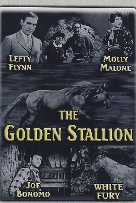 The Golden Stallion (1927)