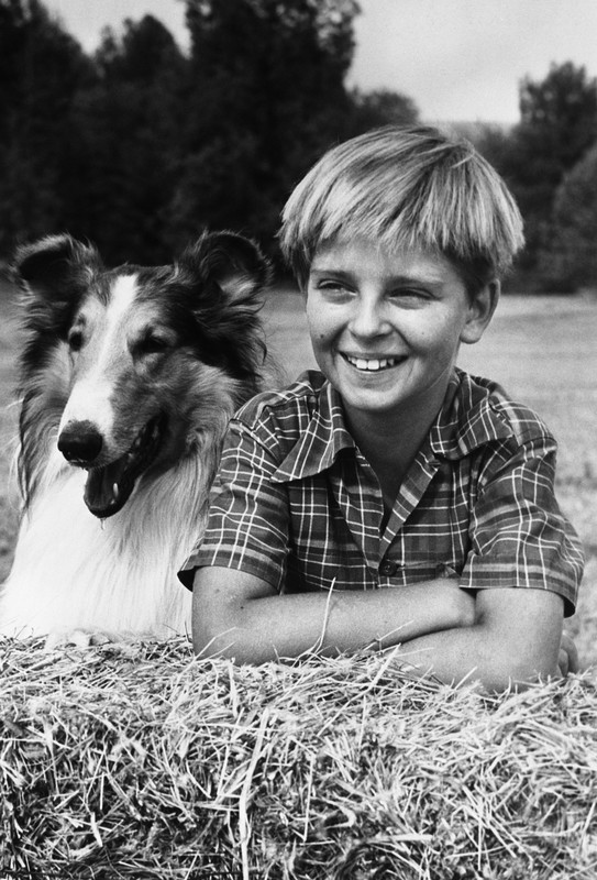 Tommy Rettig