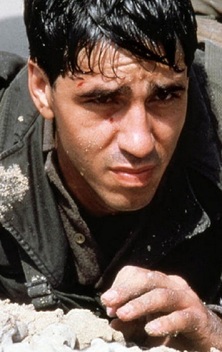 Bobby Di Cicco