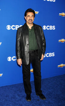 Joe Mantegna