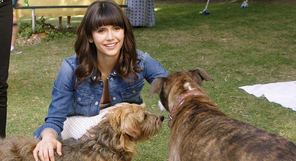 Dog Days (2018)