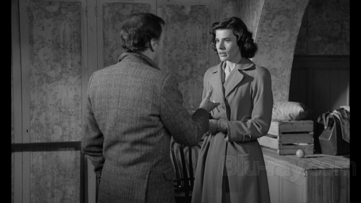 Finally, Sunday Blu-ray (Vivement dimanche! / Confidentially Yours ...