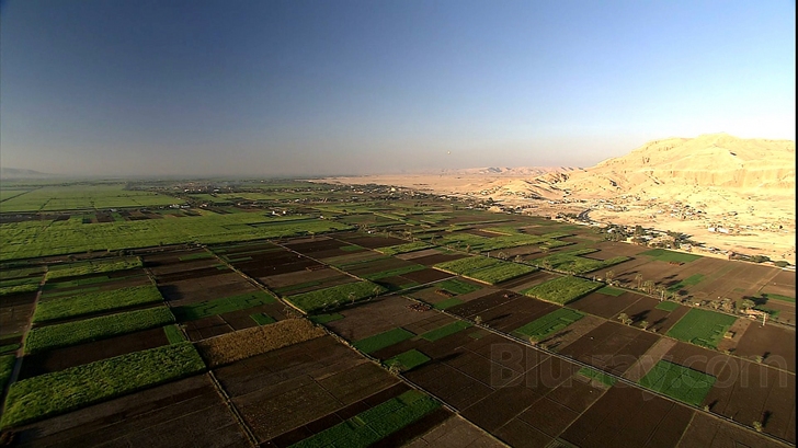 Fearless Planet Blu-ray