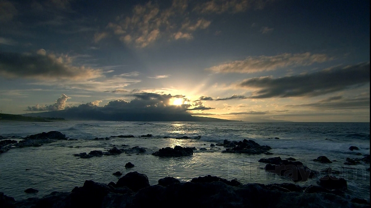 Fearless Planet Blu-ray