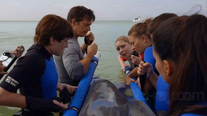 Dolphin Tale 2 Blu-ray (Blu-ray + DVD)