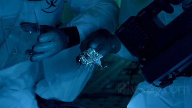 The Strain: The Complete First Season Blu-ray