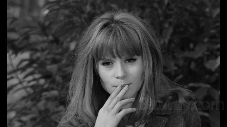 The Soft Skin Blu-ray (La peau douce)