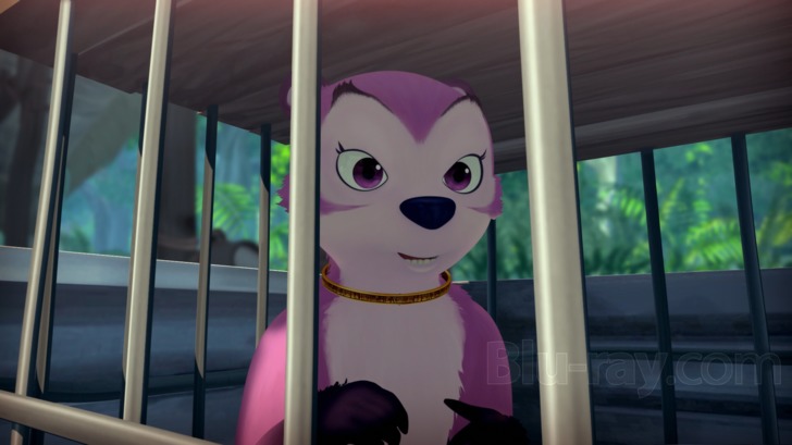 Jungle Shuffle 3D Blu-ray (Blu-ray 3D + Blu-ray + DVD)