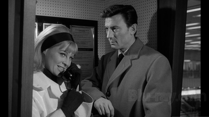 Darling Blu-ray (Vintage Classics | 50th Anniversary Edition) (United ...