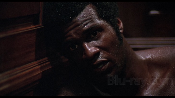 Report to the Commissioner Blu-ray