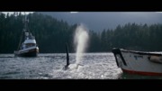 Free Willy Blu-ray