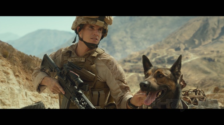 Max Blu-ray Release Date October 27, 2015 (Blu-ray + DVD)