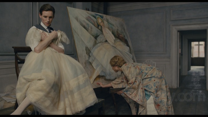 The Danish Girl Blu-ray Release Date March 1, 2016 (Blu-ray + Digital HD)