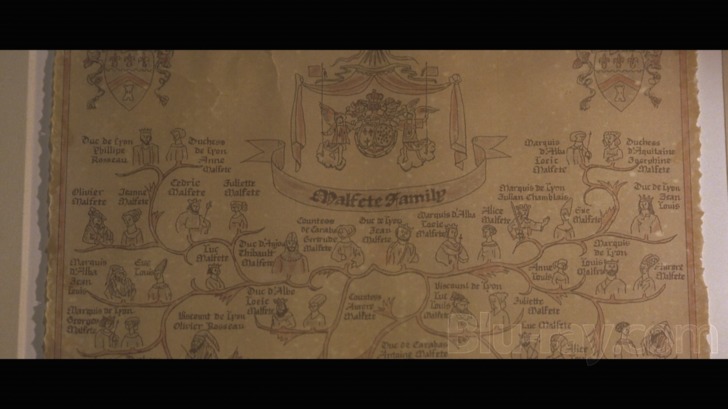 Just Visiting Blu-ray