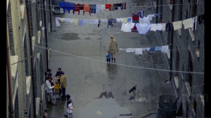 Poor Cow Blu-ray (Vintage Classics) (United Kingdom)