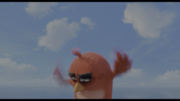 The Angry Birds Movie 3D Blu-ray (Blu-ray 3D) (India)