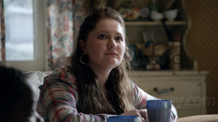 Shameless: The Complete Sixth Season Blu-ray