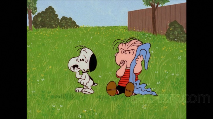 Snoopy, Come Home Blu-ray