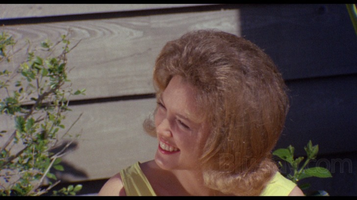 Color Me Blood Red Blu-ray (Blu-ray + DVD)