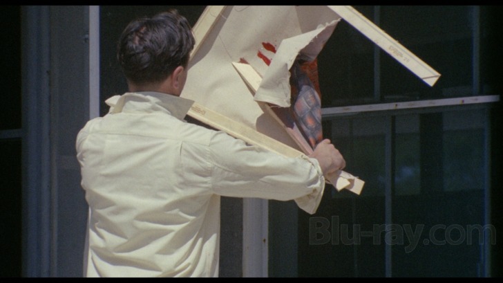 Color Me Blood Red Blu-ray (Blu-ray + DVD)